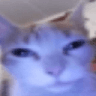 OWEE Slyzeen