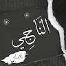 الناجي ادريس