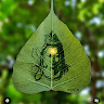 Padala Jayanth