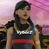 VyborZ