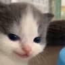 42สุภาภัทร แก้วผลึก