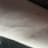 fa t