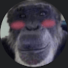 Drippymonke 69