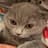 kacper