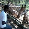 Gregory Mokaya