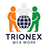 TRIONEX Web Work