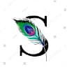 Sandhiya R V