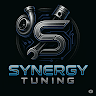 synergy customs