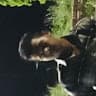 Jalal Uddin
