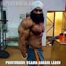 Arabe Bombado