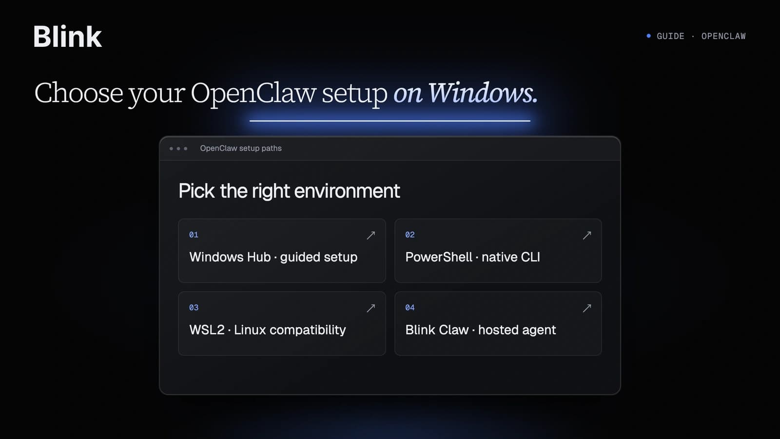 Four OpenClaw options organized by setup: Windows Hub, PowerShell, WSL2, and hosted Blink Claw.