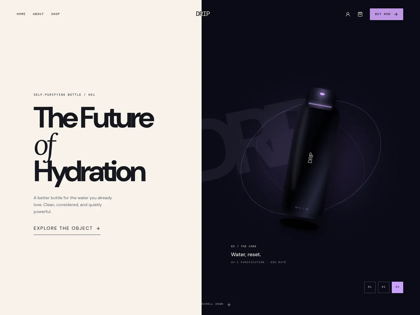 DRIP Landing Page