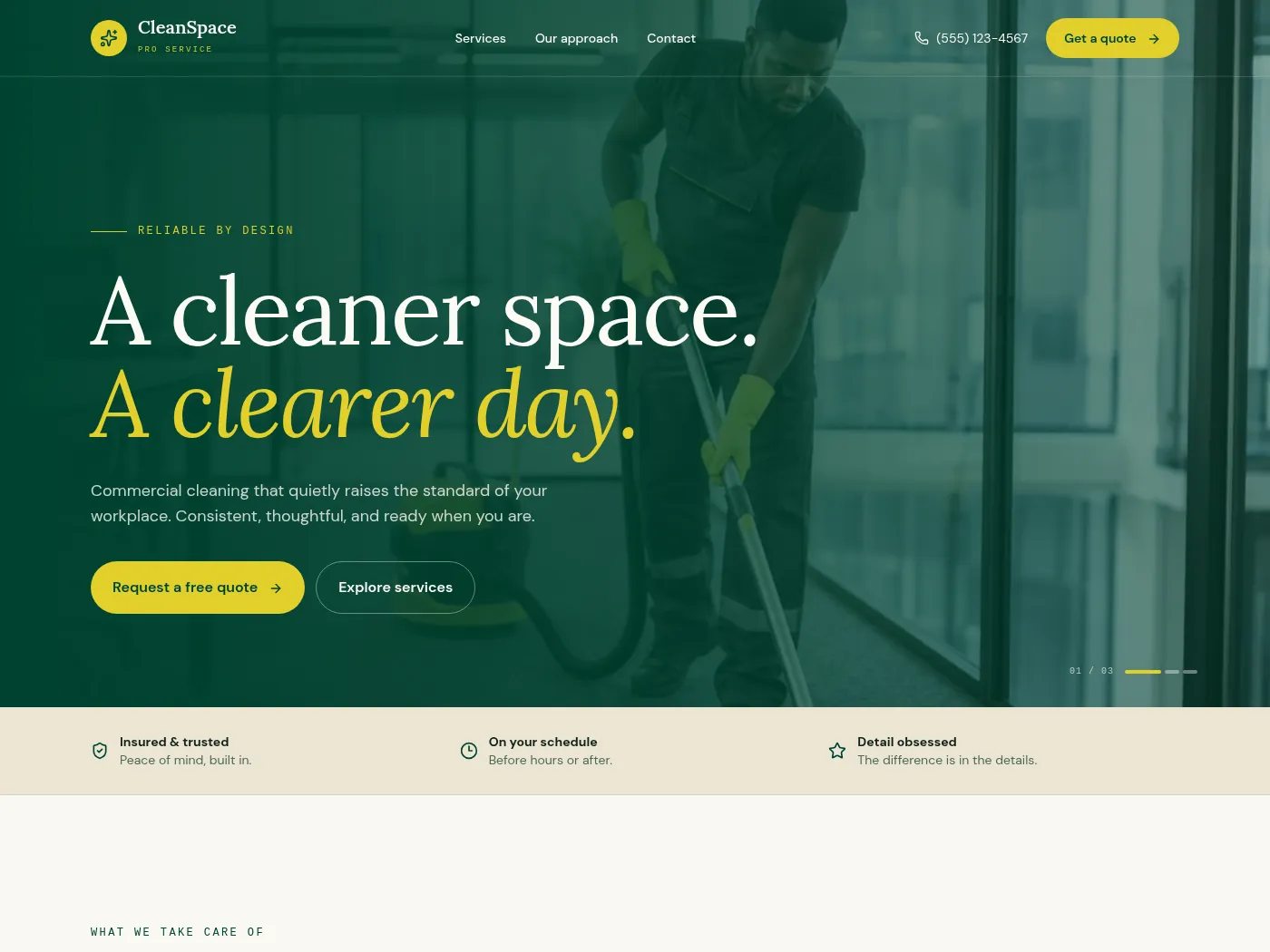 CleanSpace Pro Site