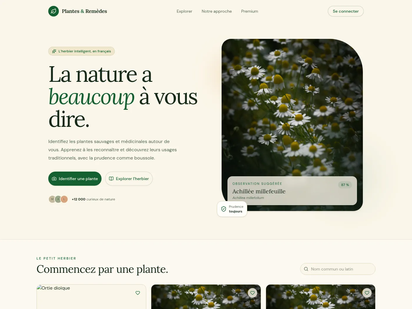 Plantes & Remèdes