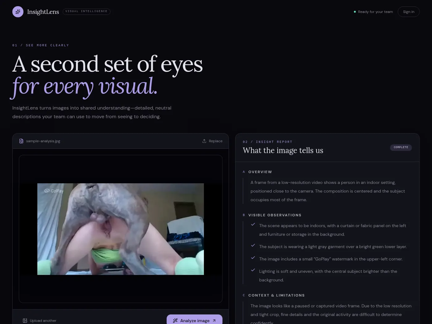InsightLens AI Describer
