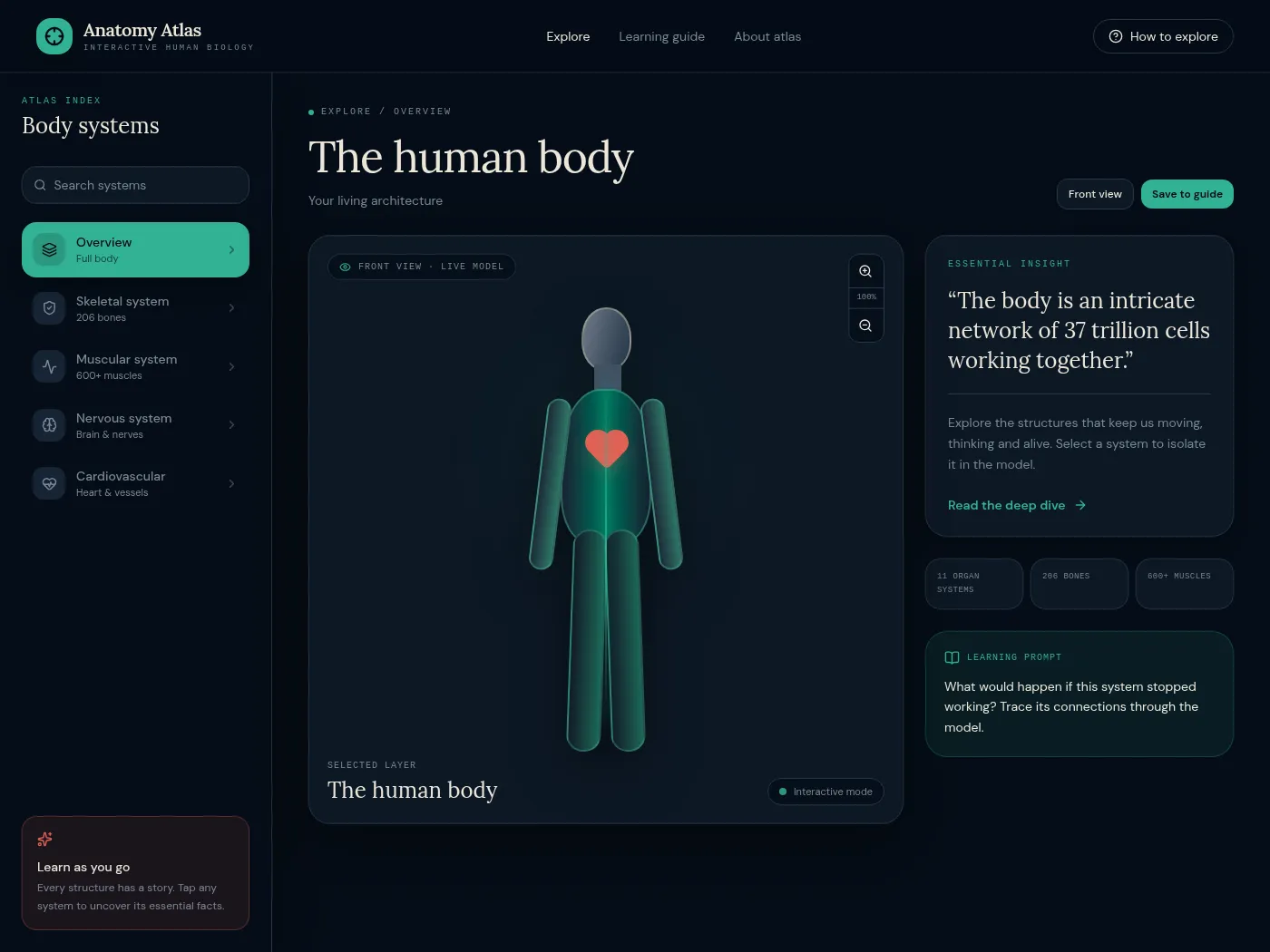 Body Anatomy Explorer