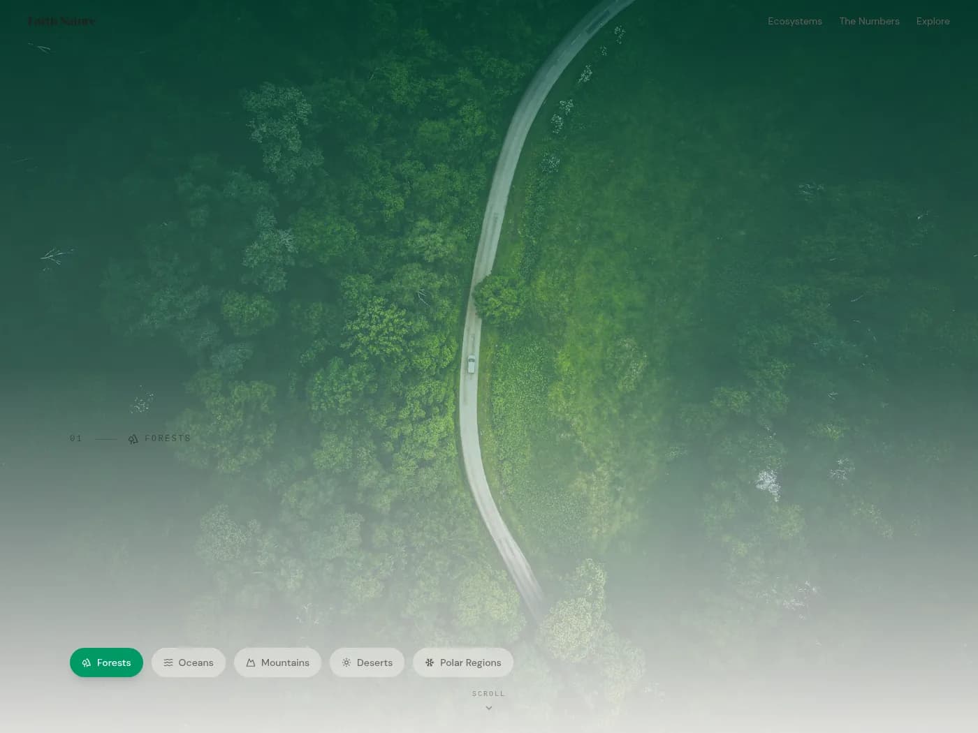 Earth Nature Overview