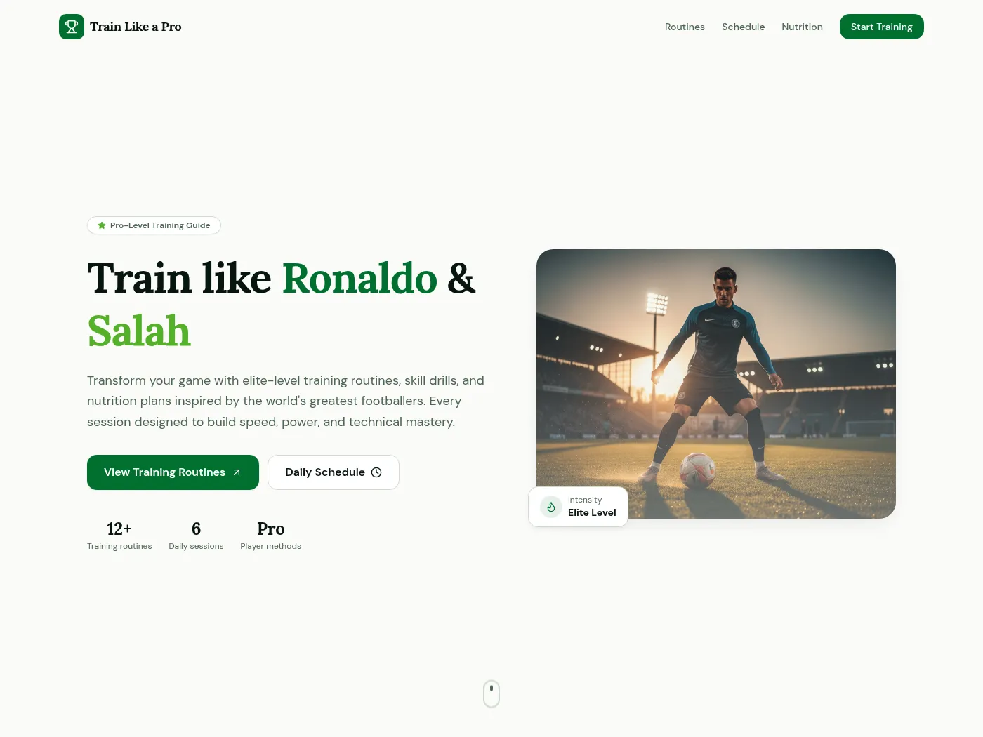 Footballer Training Guide