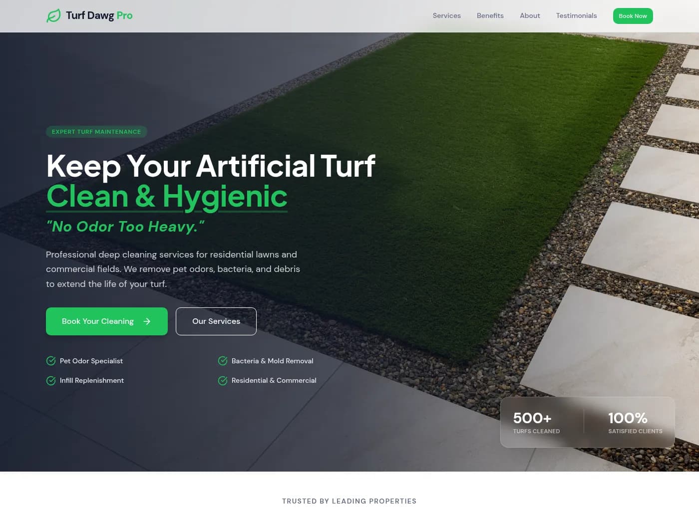 TurfClean Pro Site