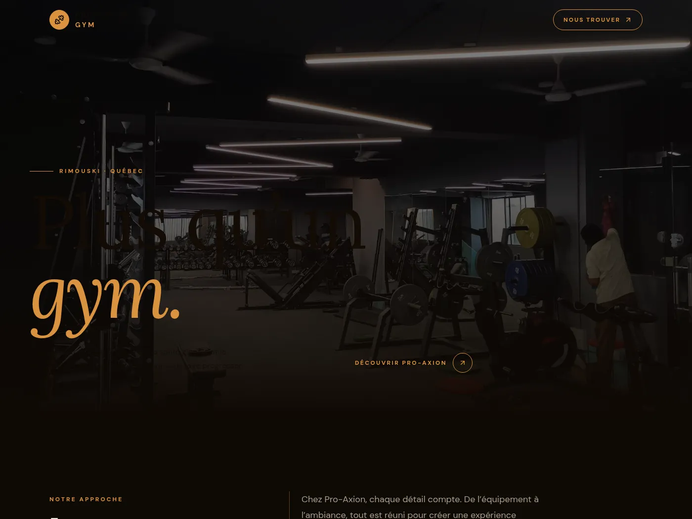 Pro-Axion Gym Website