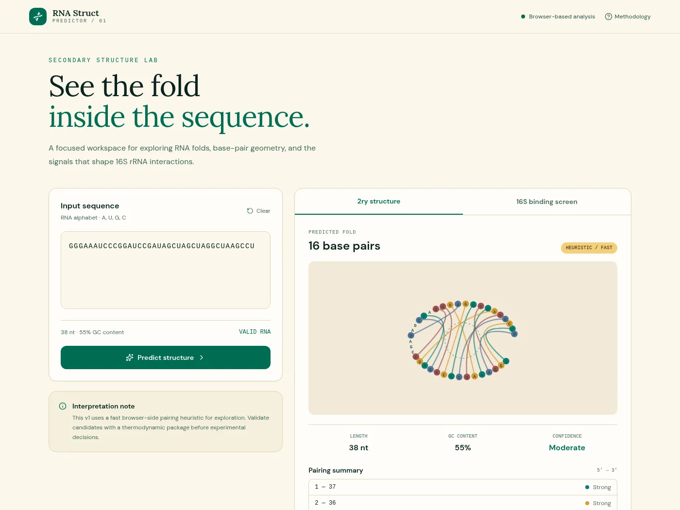 RNA Struct Predictor