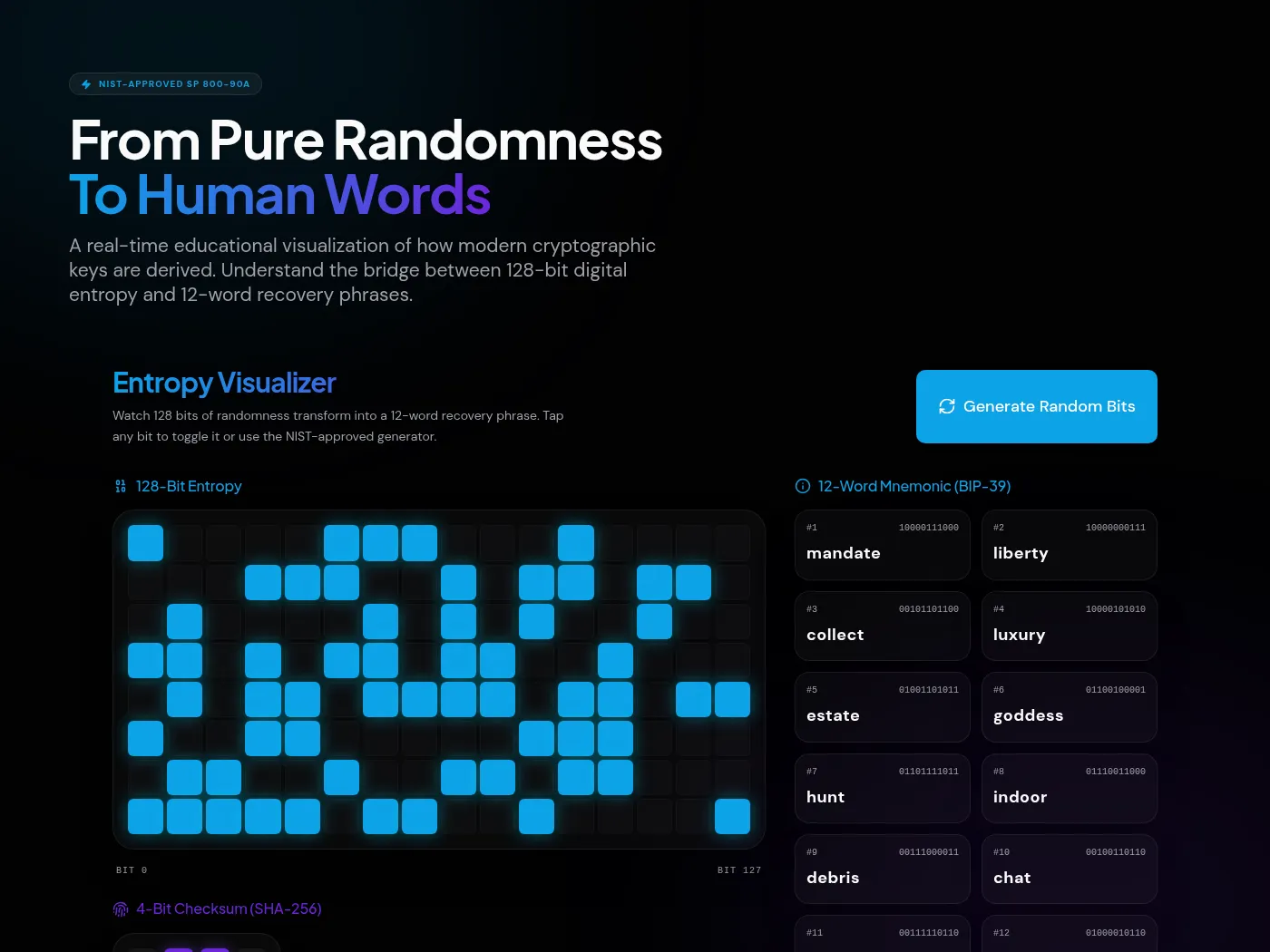 Entropy Visualizer Pro