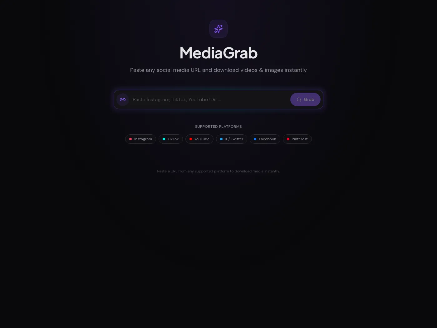 MediaGrab Web Downloader