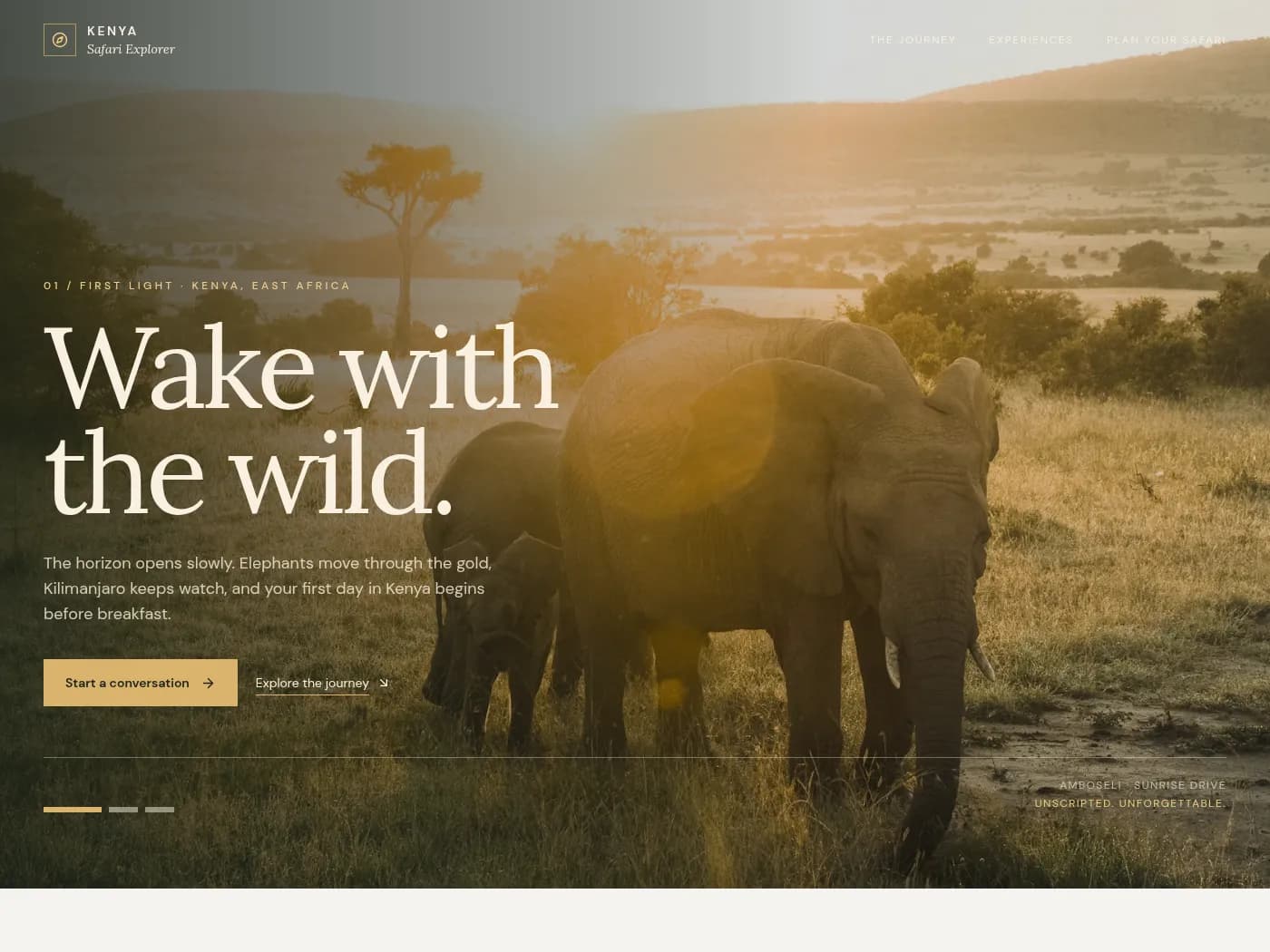 Kenya Safari Explorer