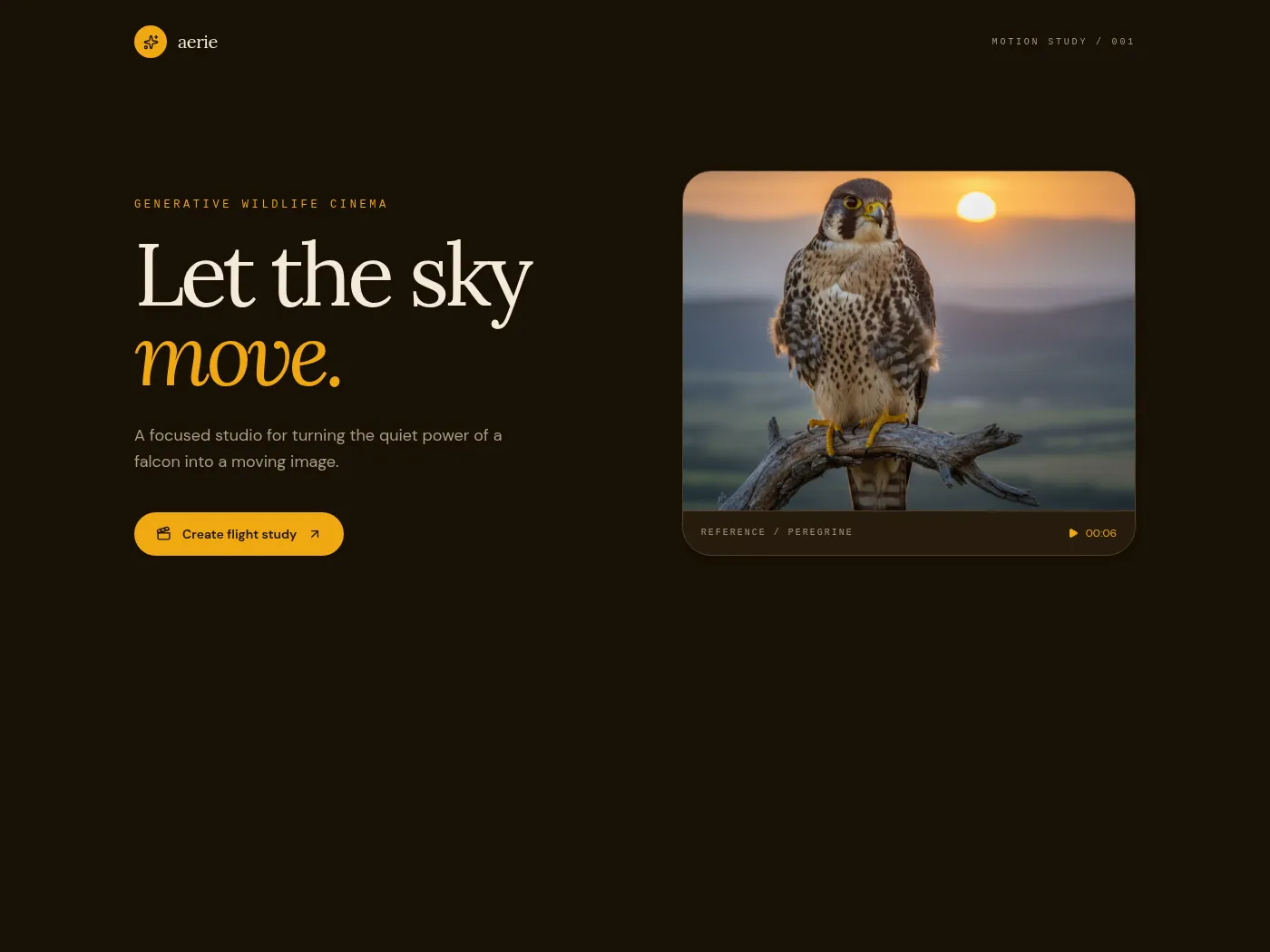 Falcon Photo Generator