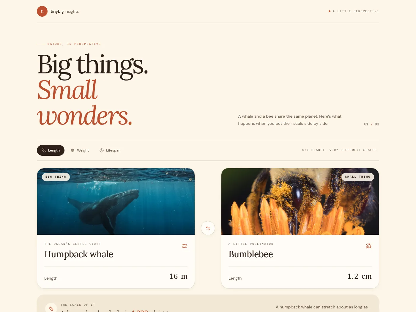 TinyBig Insights