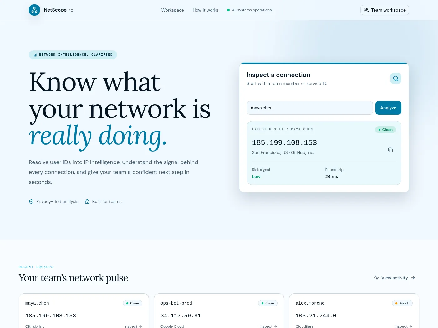 NetScope AI Tool