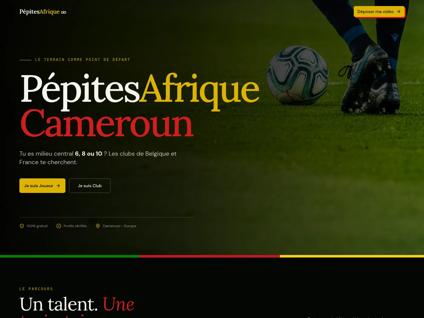 PépitesAfrique Cameroun