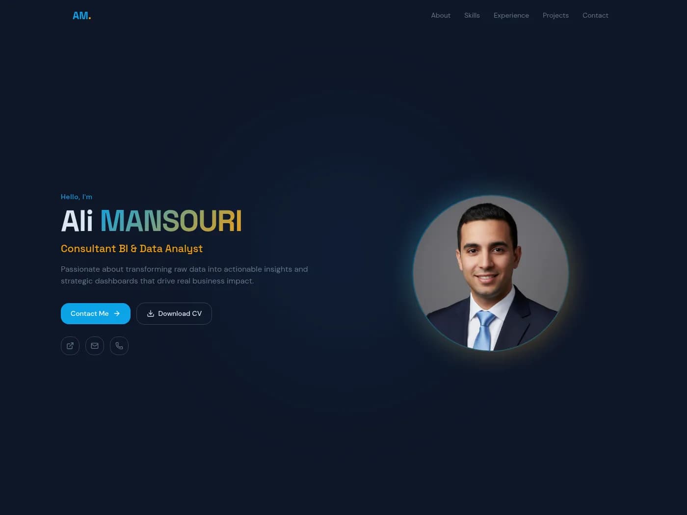 Analyst Portfolio Pro