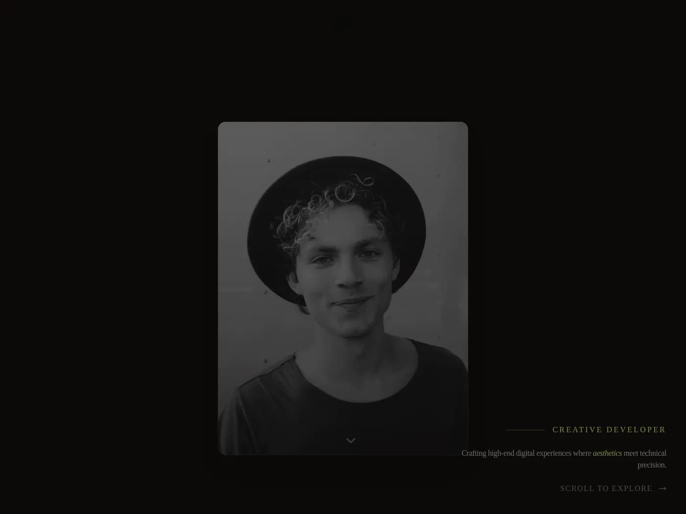 Animated Portfolio Hub