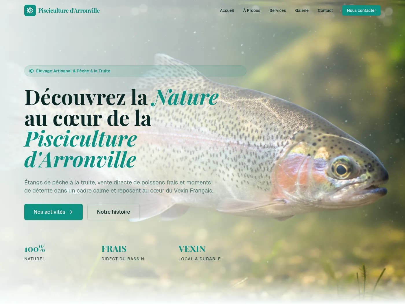 Arronville Aqua Showcase