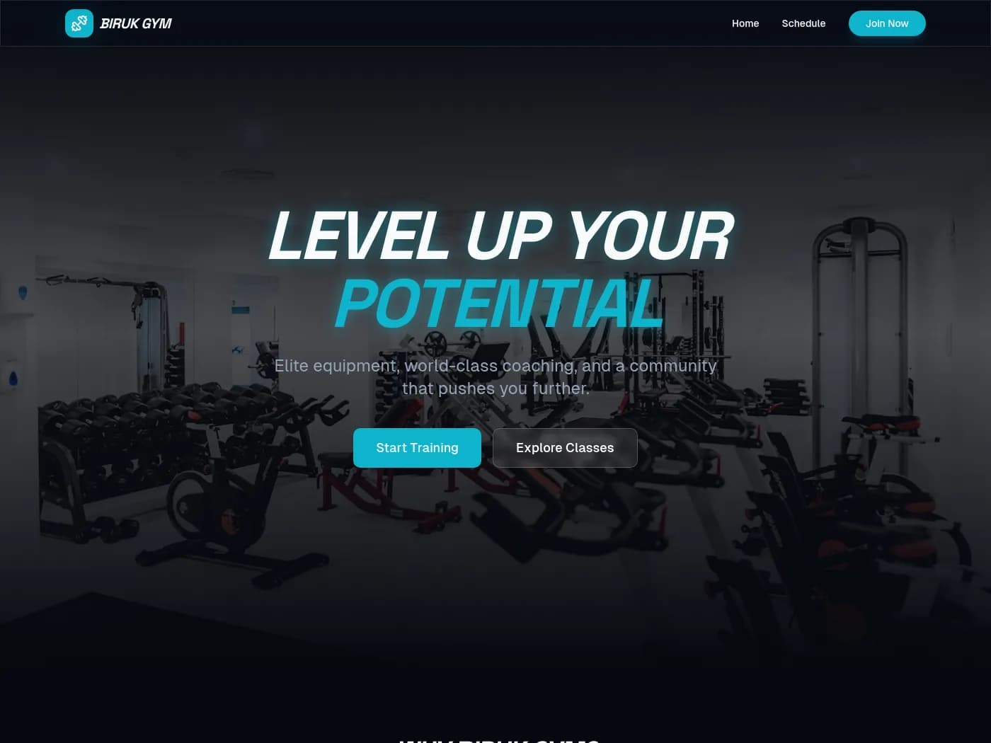Biruk Gym Portal