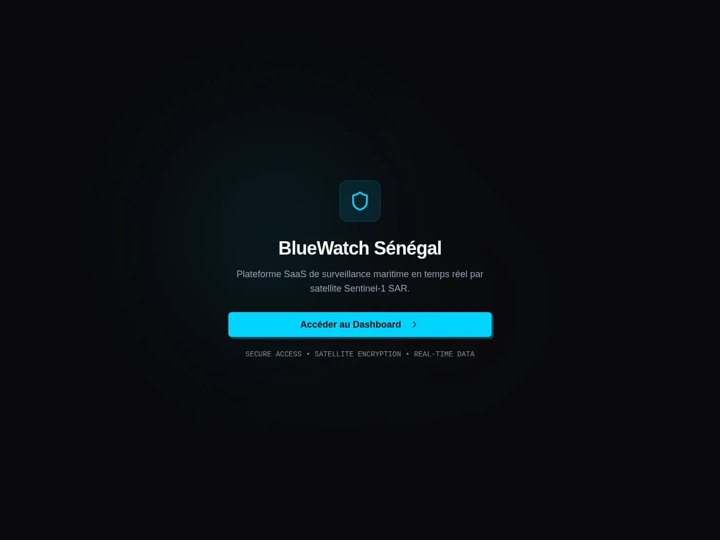BlueWatch Sénégal