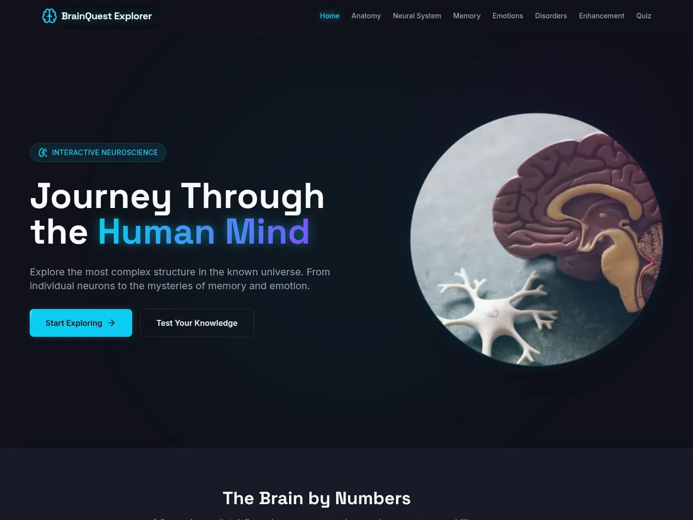BrainQuest Explorer
