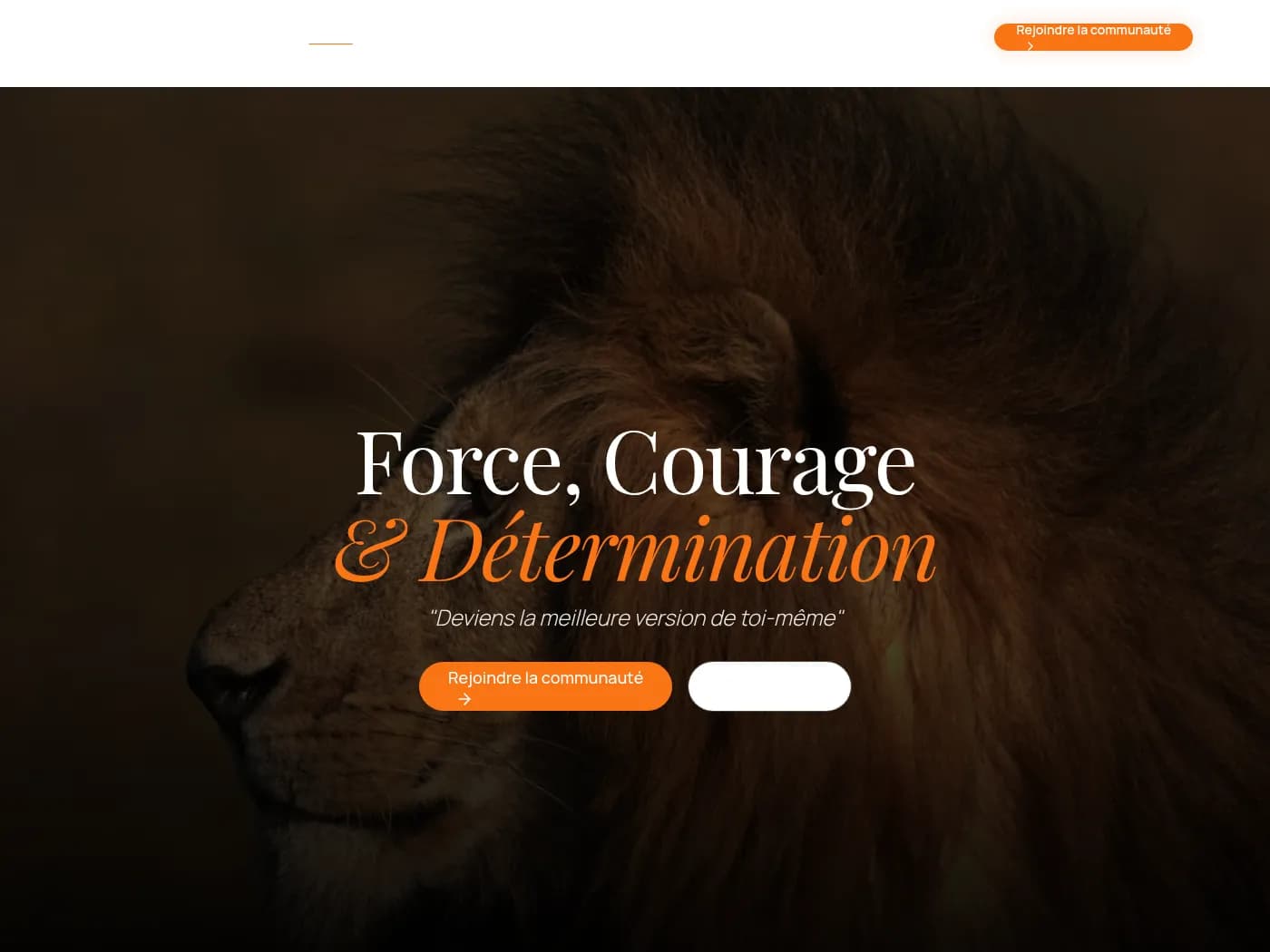 Brave House Web Portal