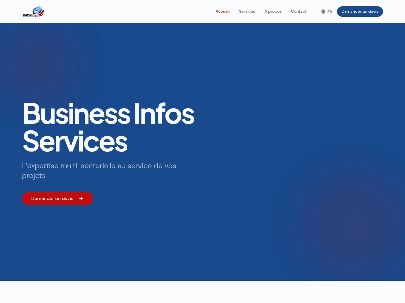 Business Infos Services Site