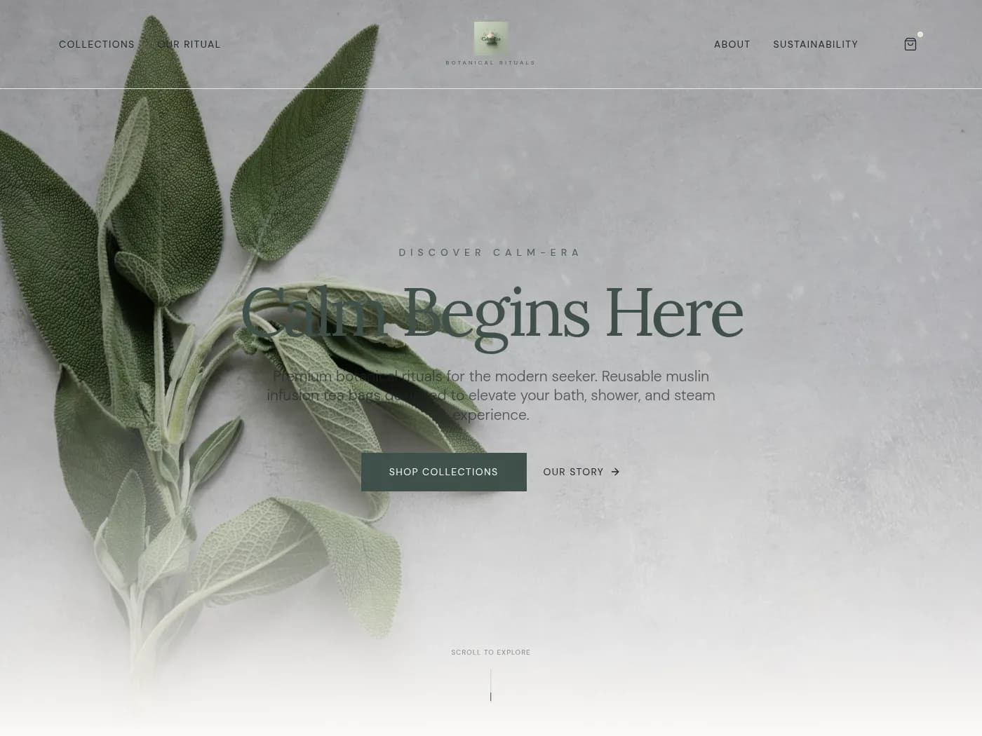 Calm-Era Premium Site