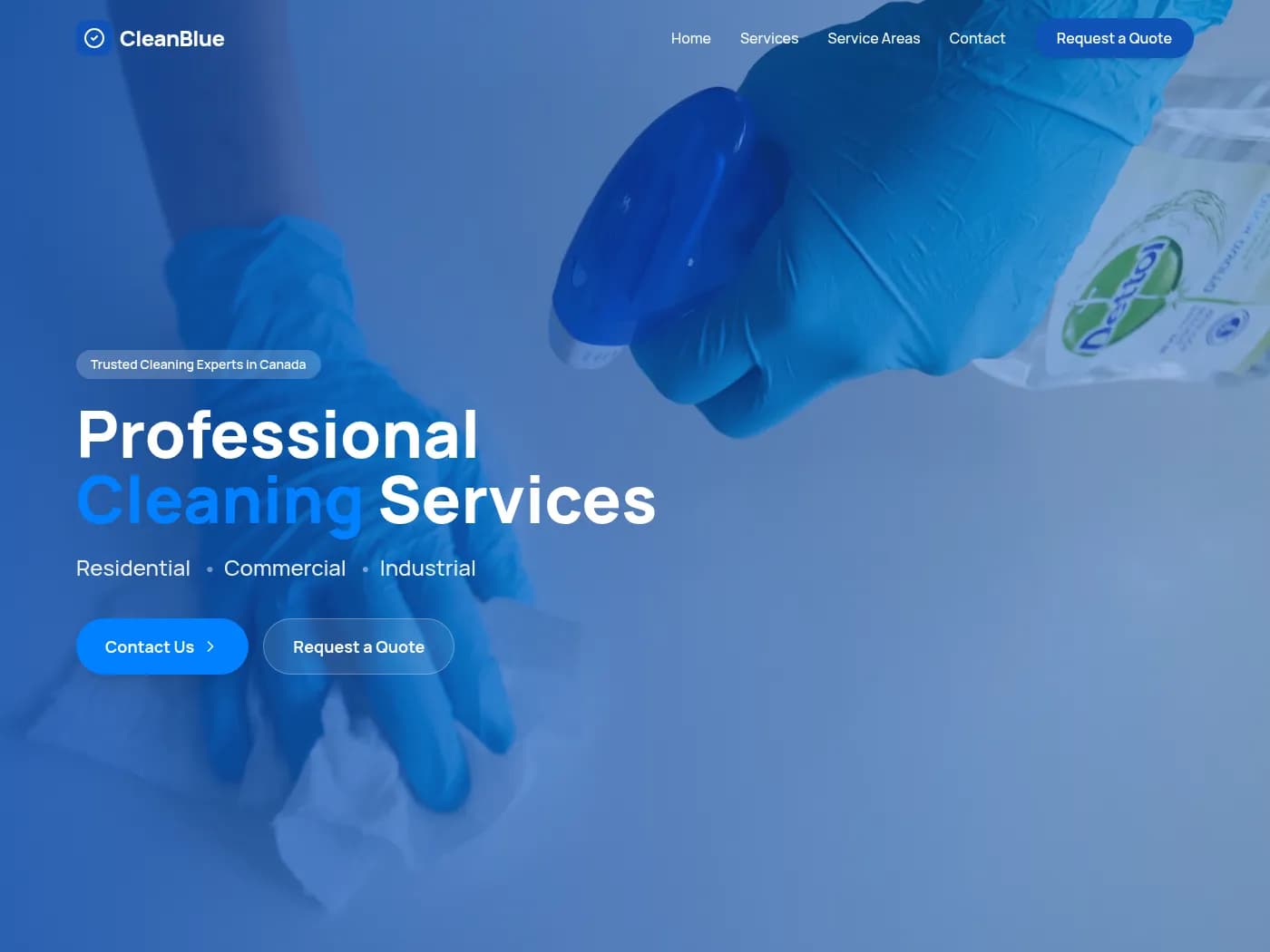 CleanBlue Landing Page