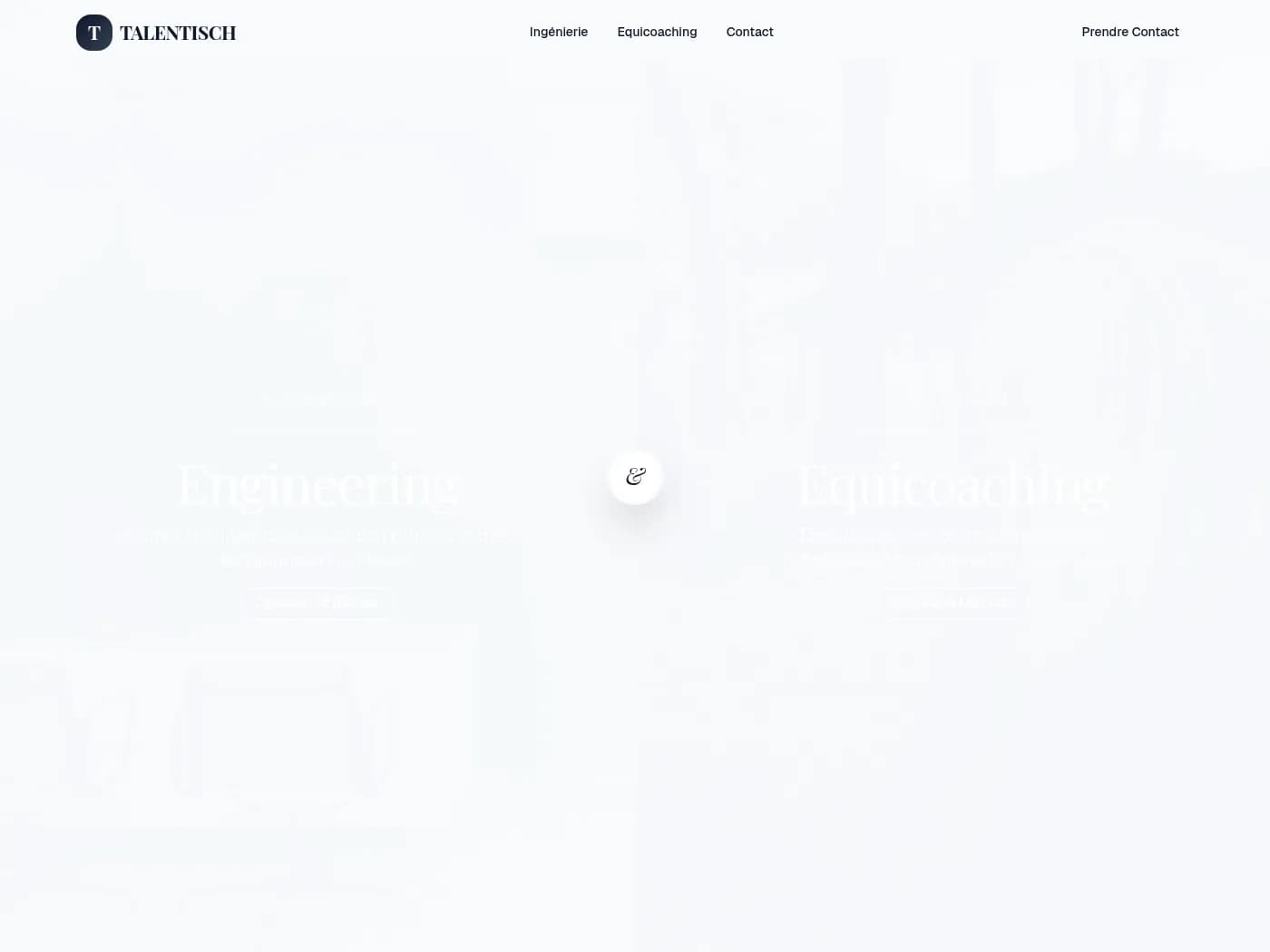 Consulting & Equicoaching Web
