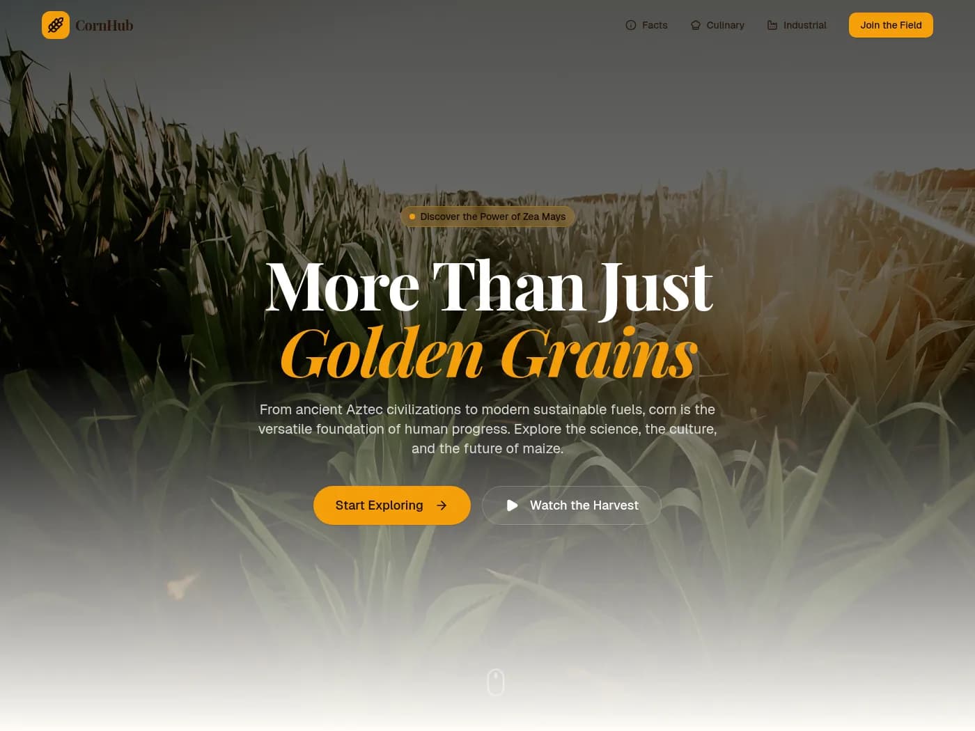 Corn Info Hub