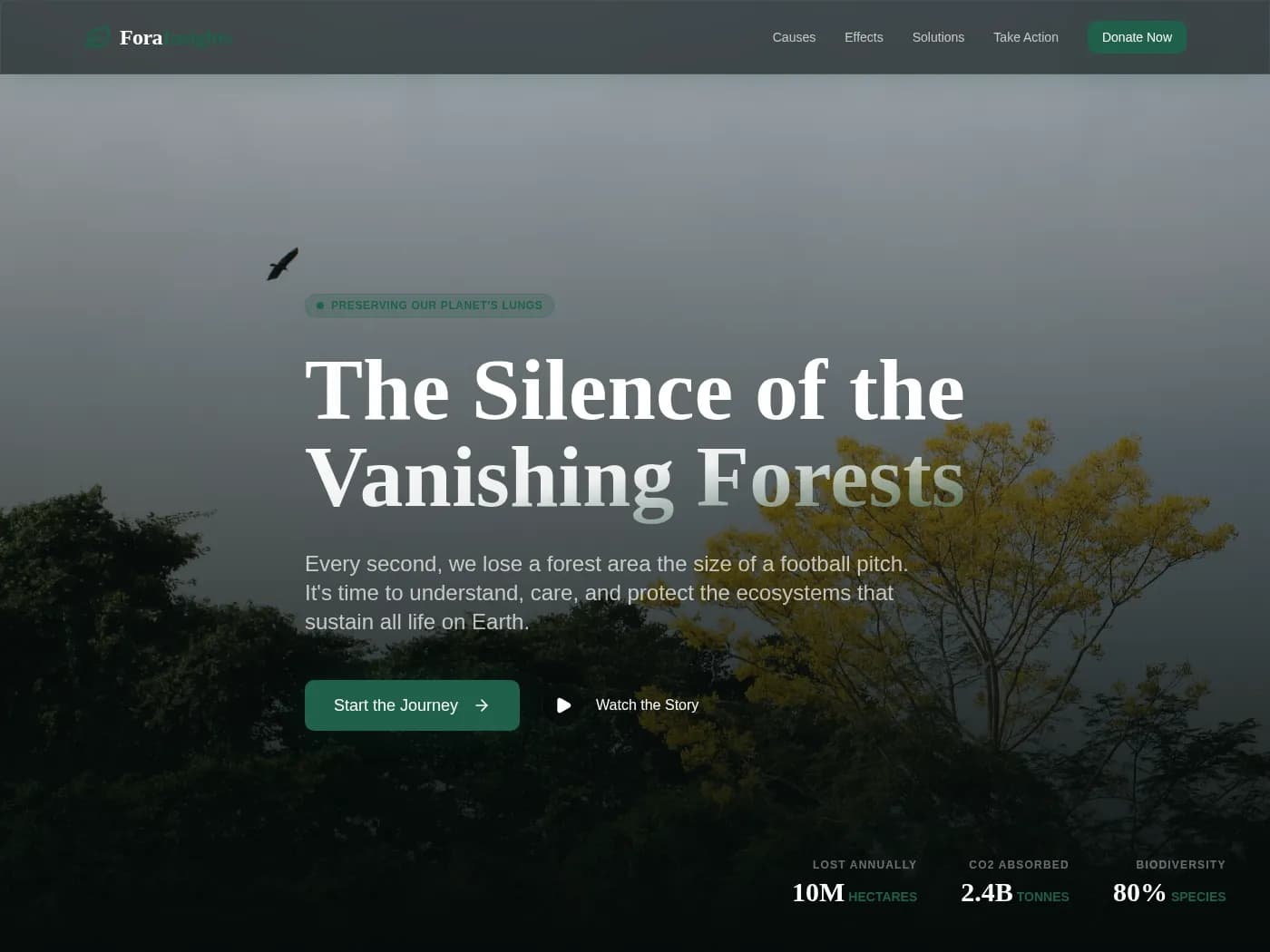 Deforestation Insights