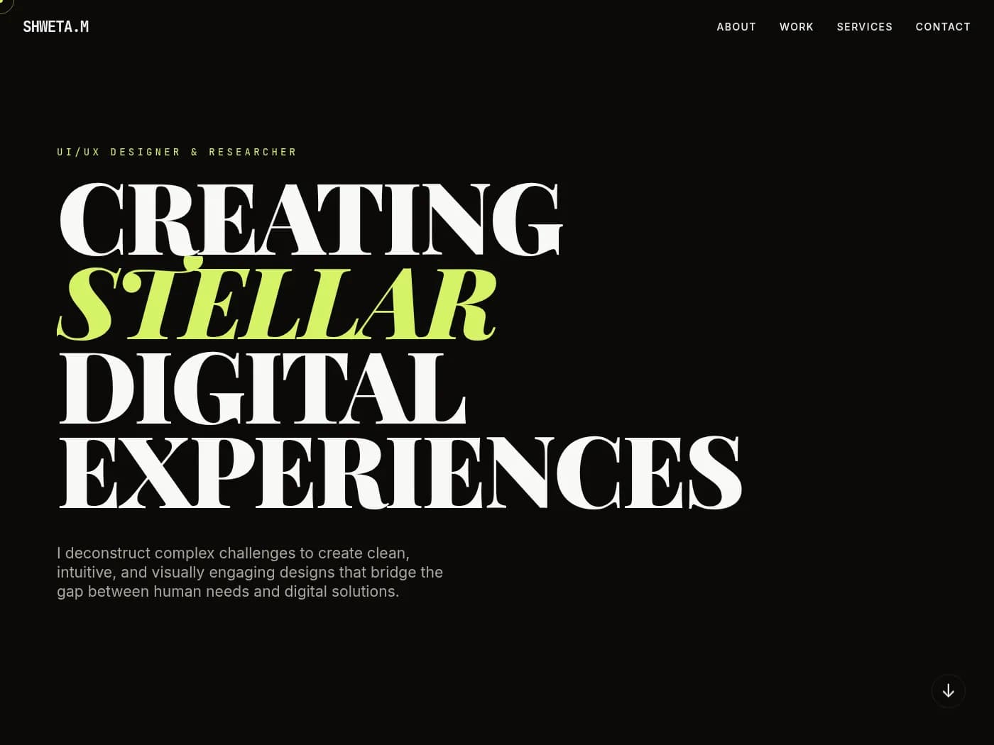 Stellar Designer Portfolio