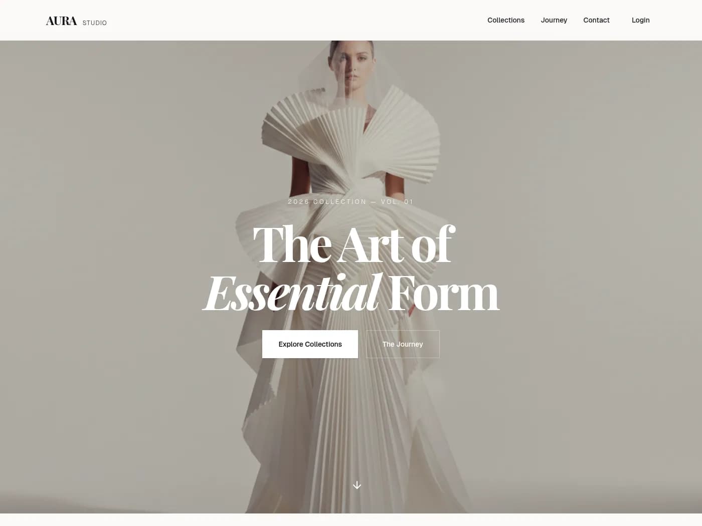 Fashion Designer Portfolio