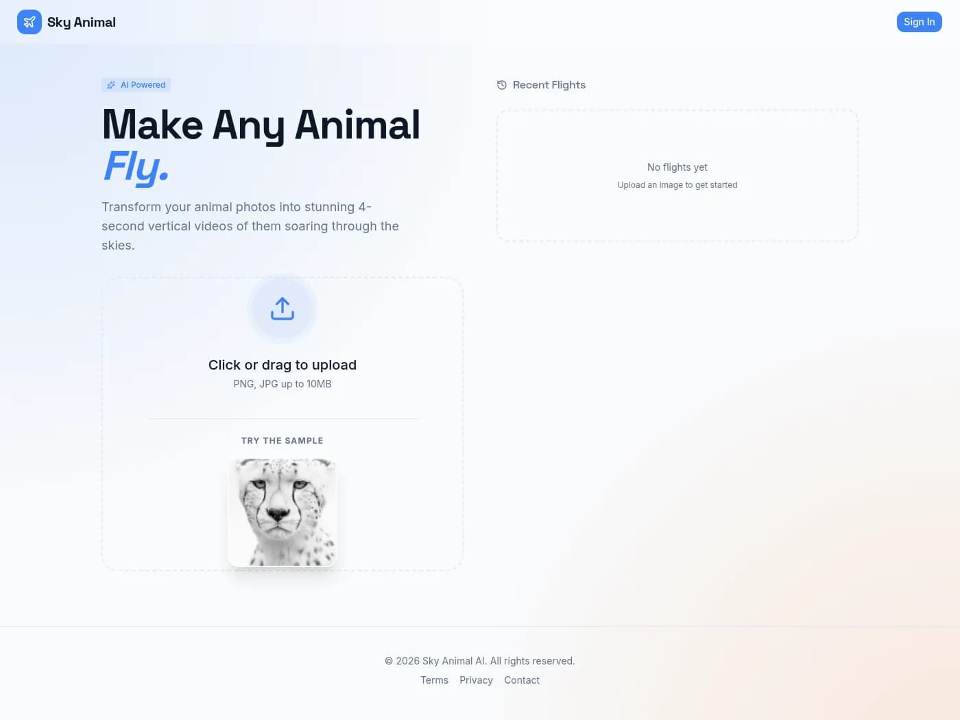 Fly This Animal Video