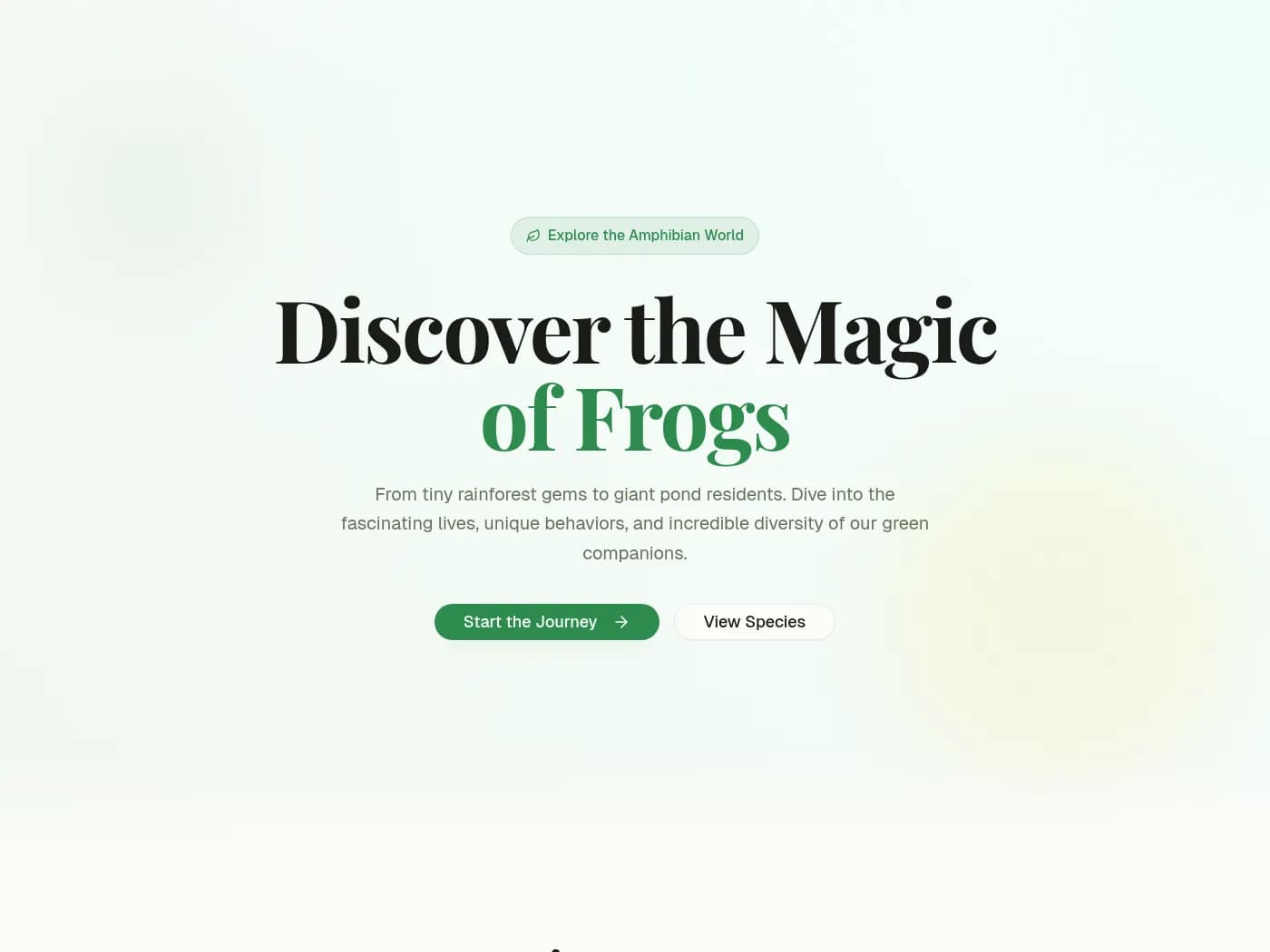 Frog World Onepager