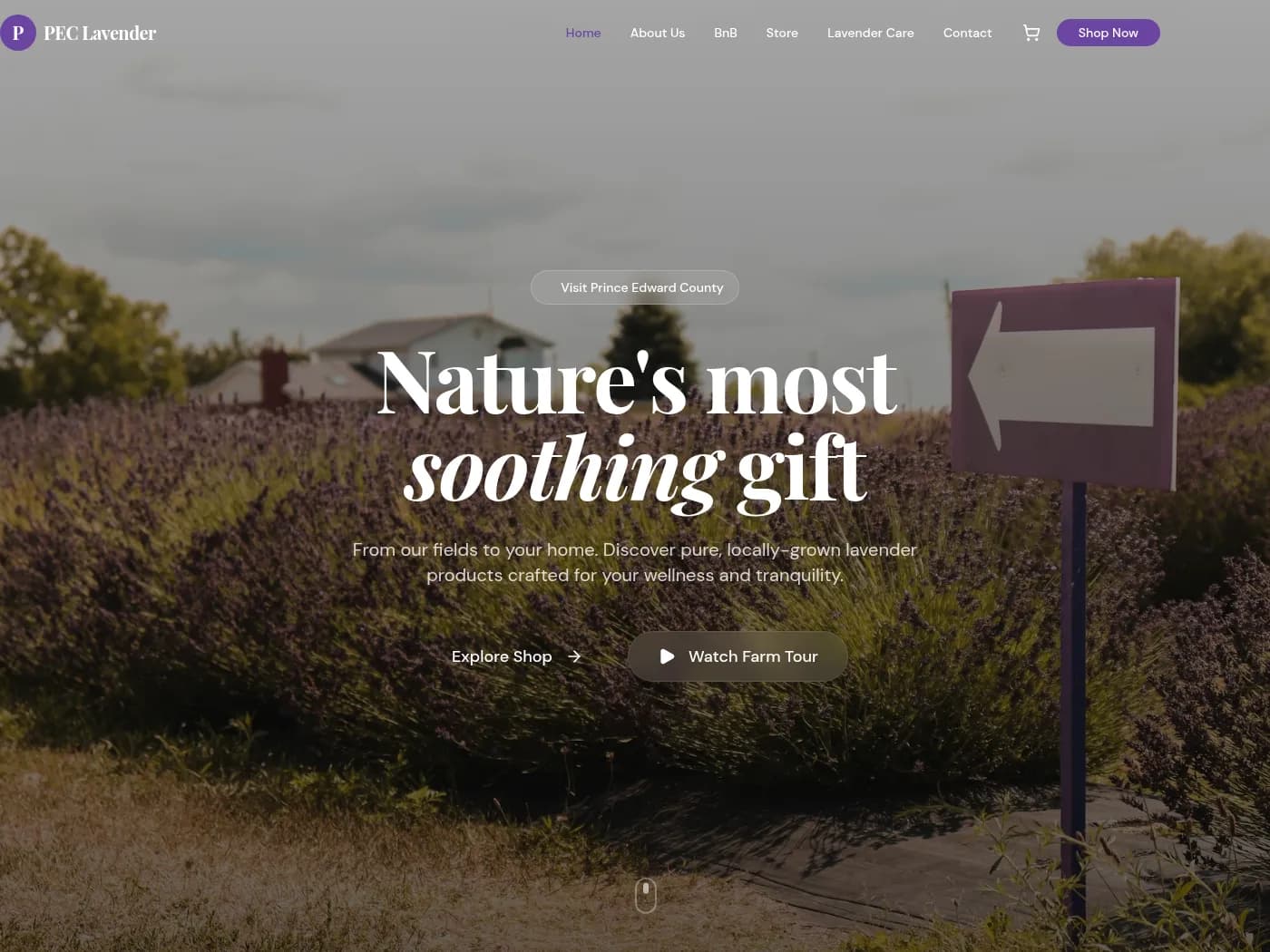 Lavender Wellness Site